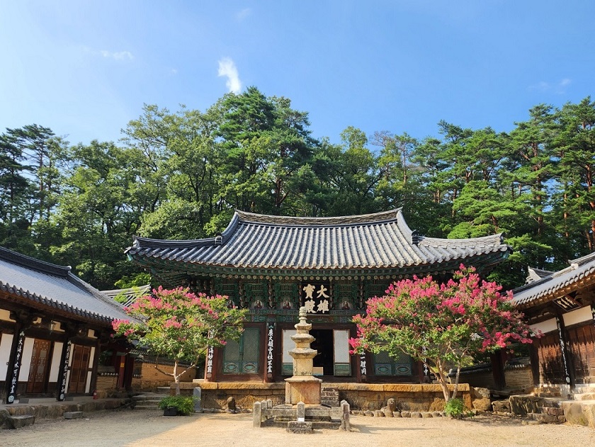 일운스님의 마음편지